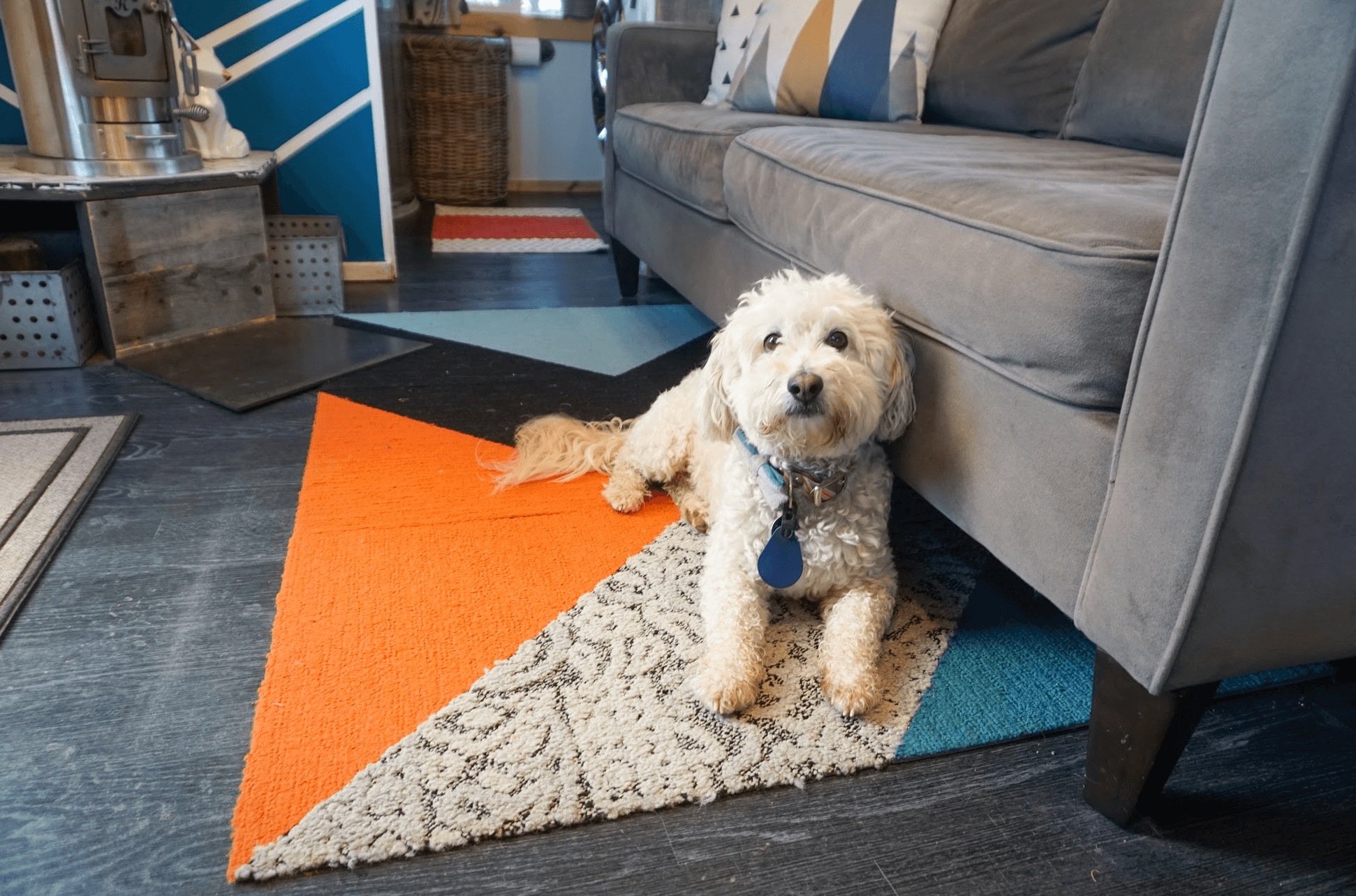 Living with Pets in a Tiny House | Tiny House Basics