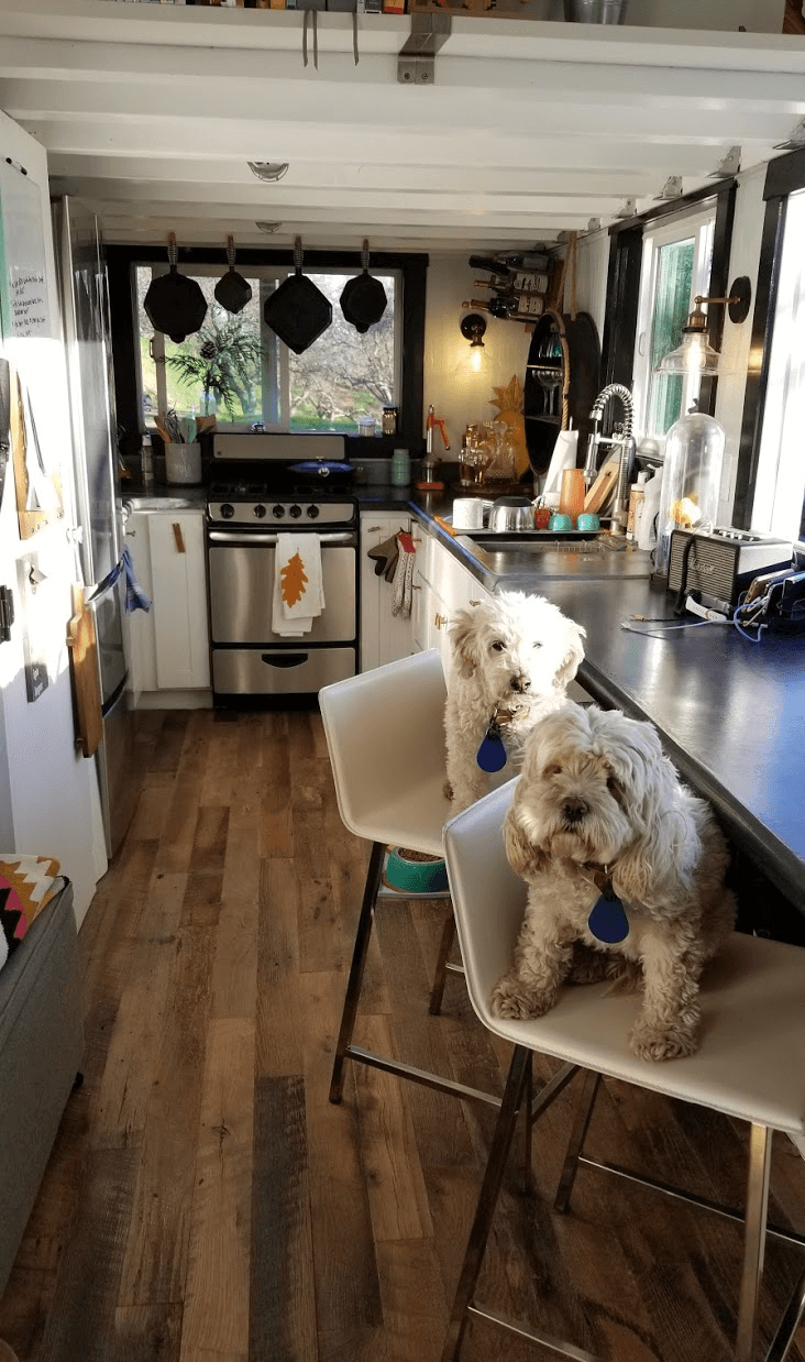 Living with Pets in a Tiny House | Tiny House Basics